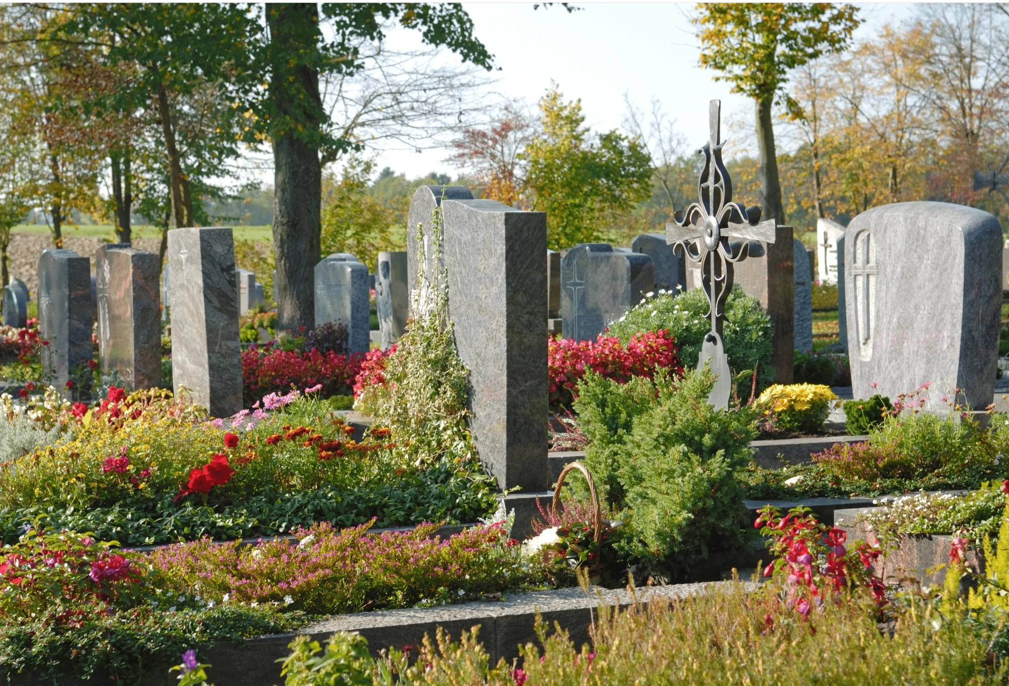 Monuments funéraires - POMPES FUNÈBRES DONVAL (29)